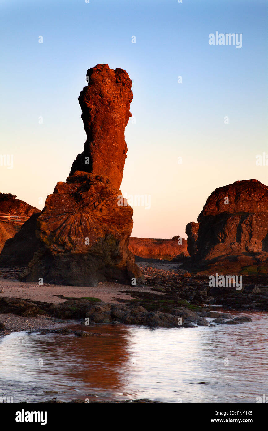Rock and Spindle at Sunrise on the Fife Coast path near St Andrews Fife ...