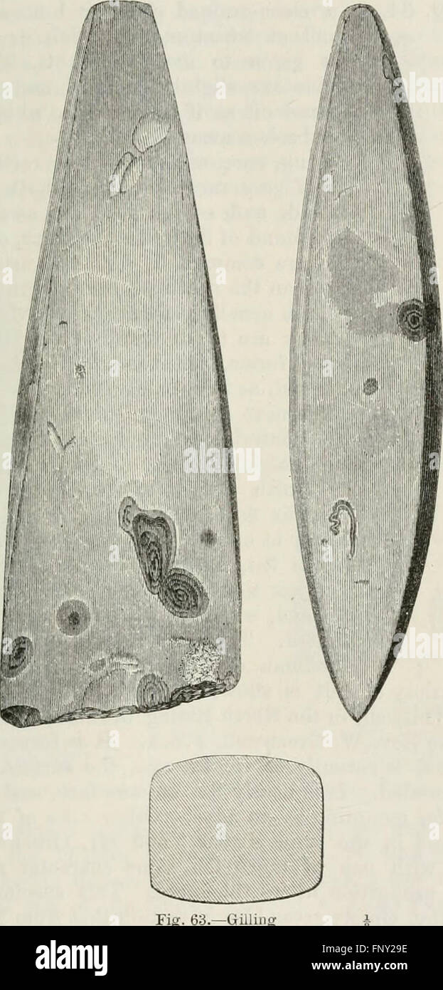 This 1872 work focuses on the prehistoric stone tools, weapons, and ...