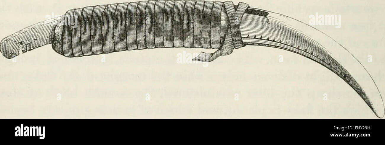'The Ancient Stone Implements, Weapons, and Ornaments of Great Britain ...