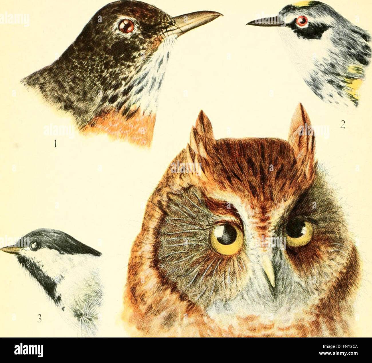 The 1914 Annual Report of the State Entomologist of Minnesota provides ...