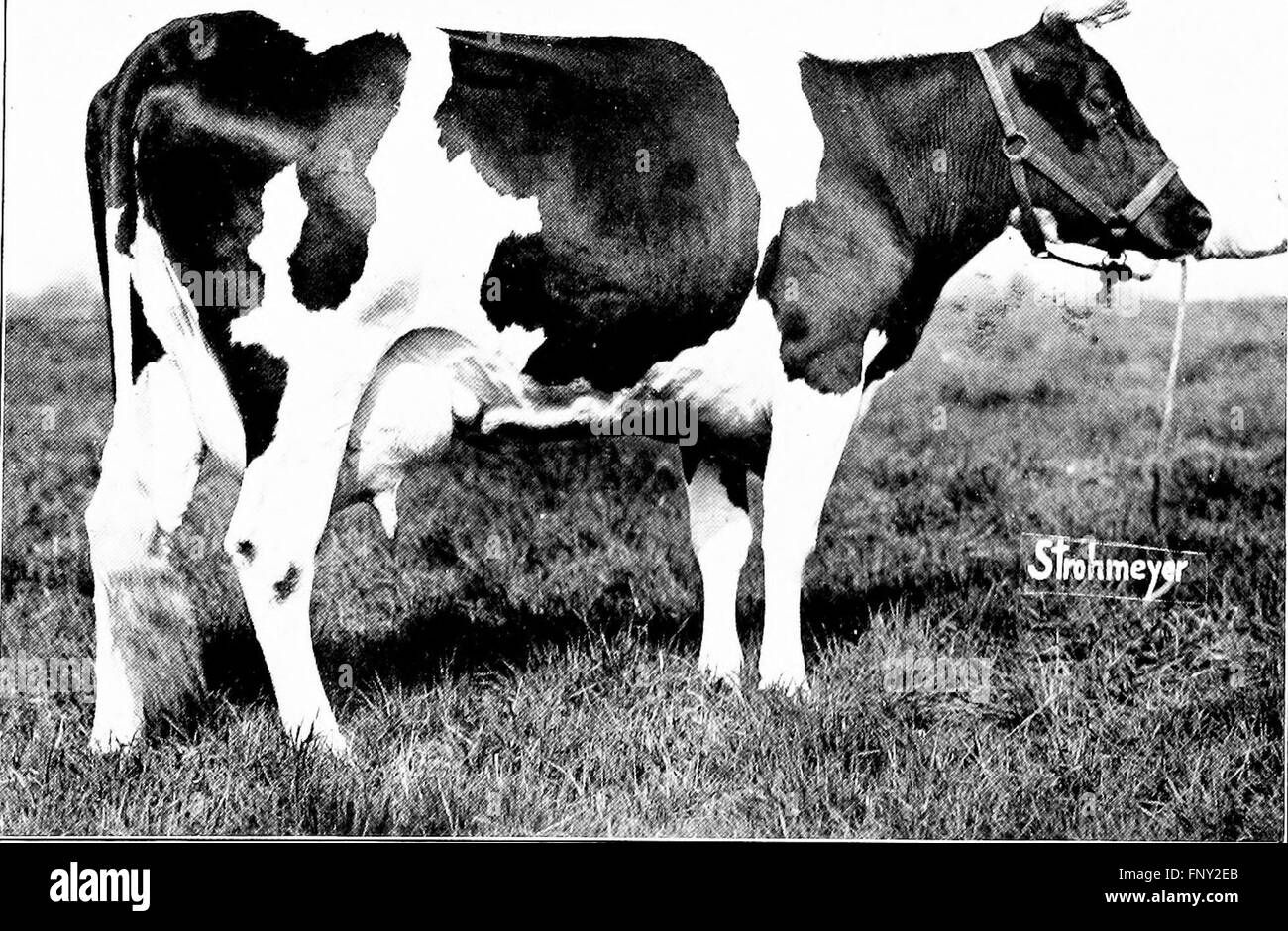 Map of ormsby hi-res stock photography and images - Alamy