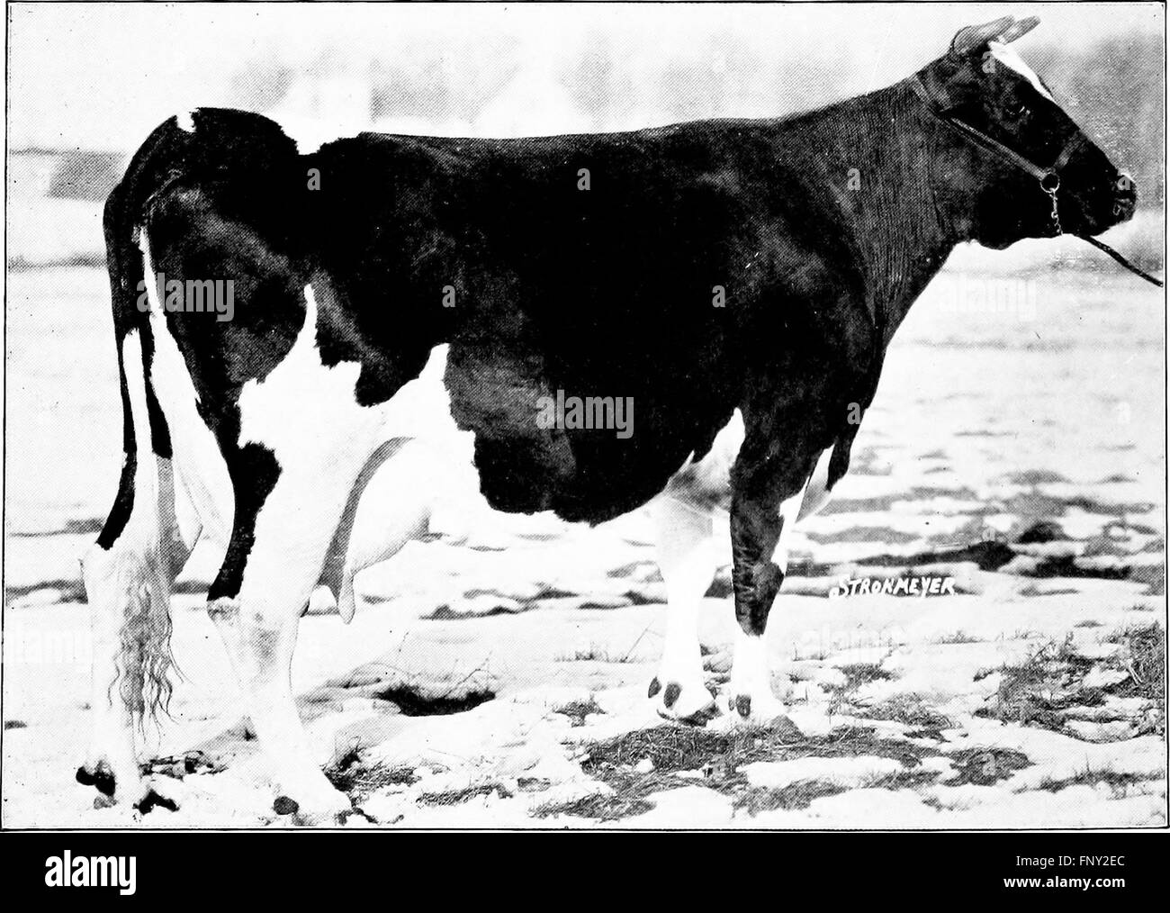 Ormsby map hi-res stock photography and images - Alamy