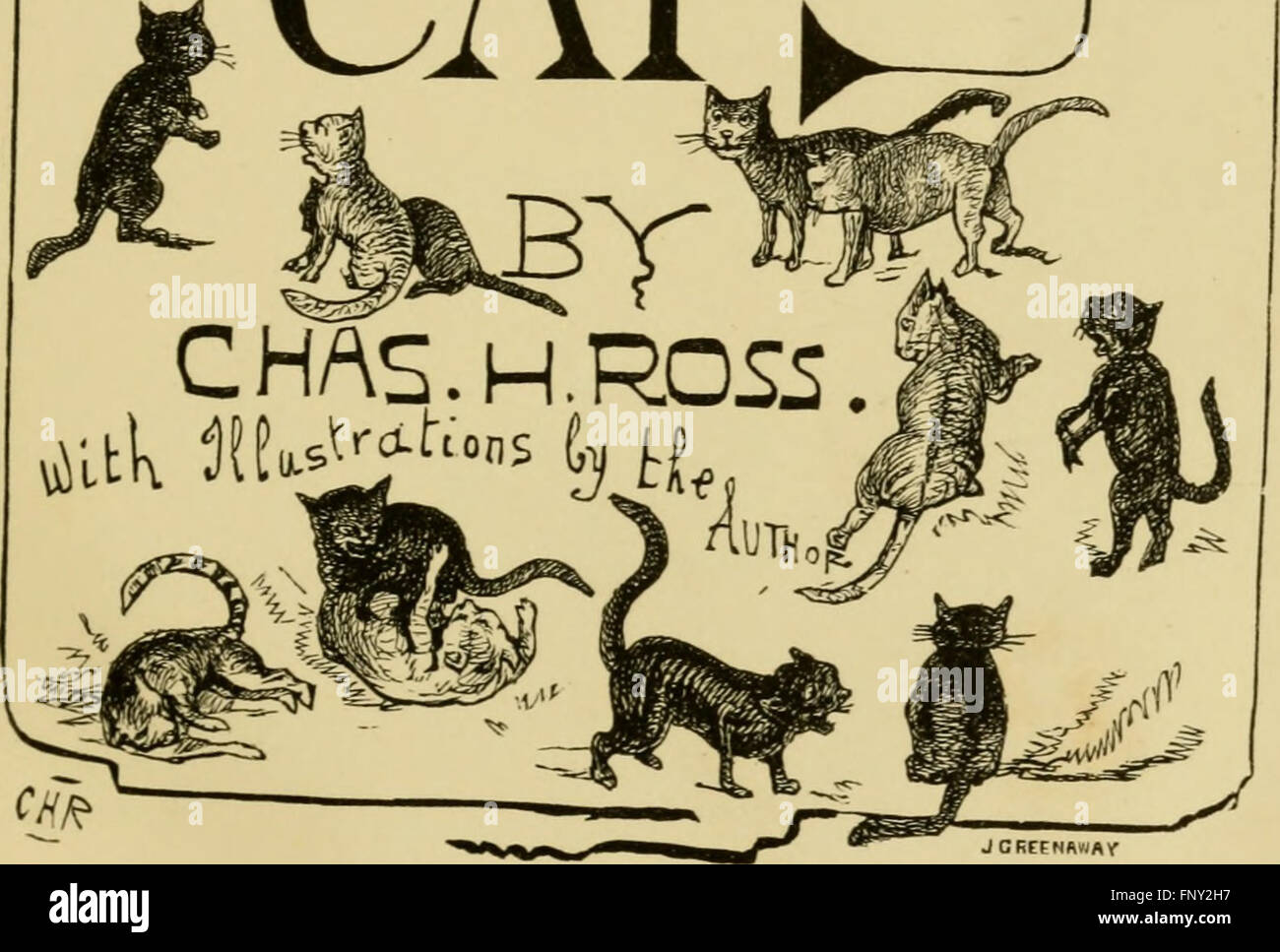 This 1868 book offers a whimsical exploration of cats, blending facts ...