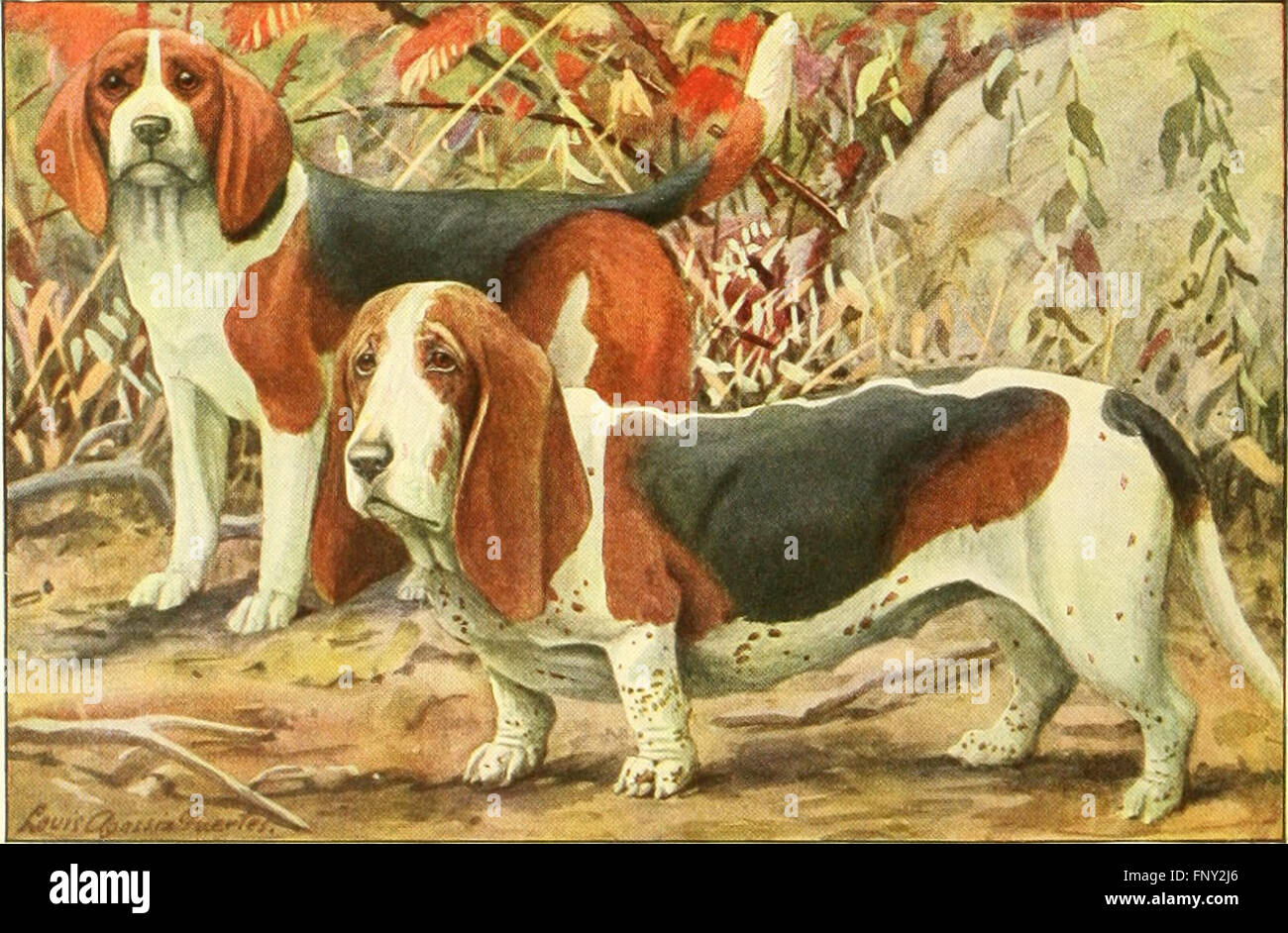 'The Book of Dogs' (1919) offers an in-depth examination of dogs ...