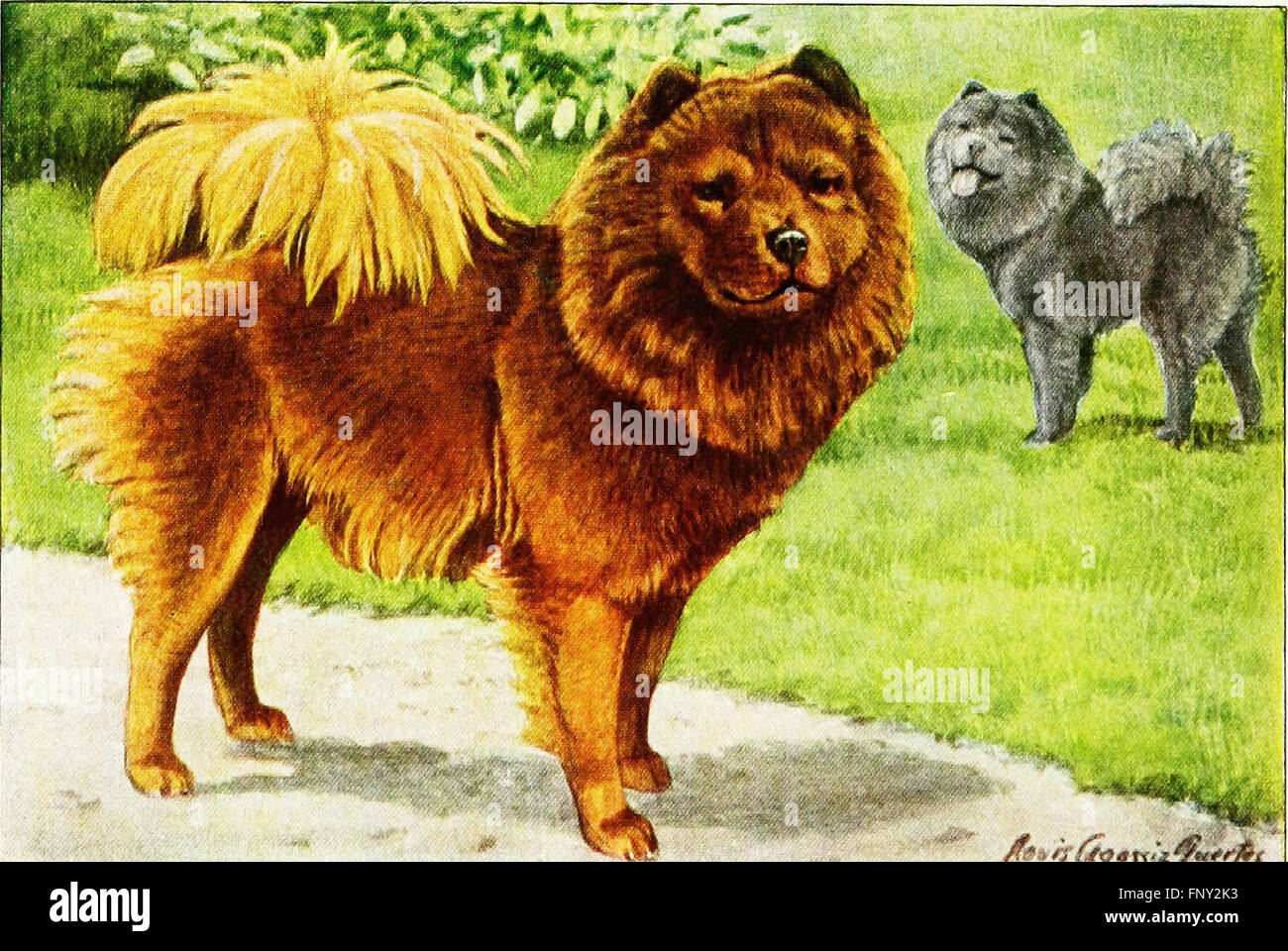 Published in 1919, this book provides an in-depth exploration of dogs ...