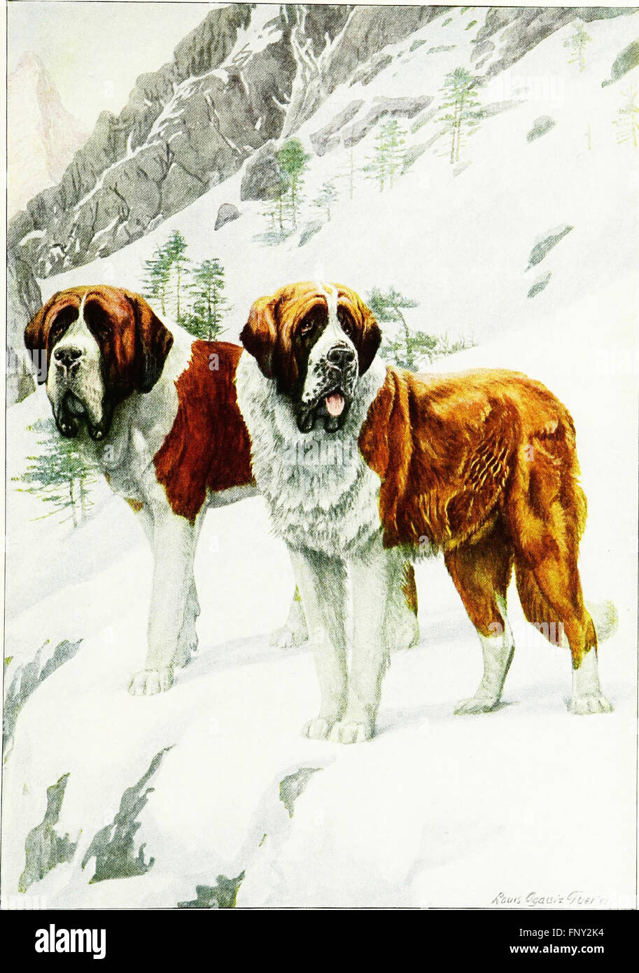 This 1919 book provides an in-depth exploration of dogs, their history ...