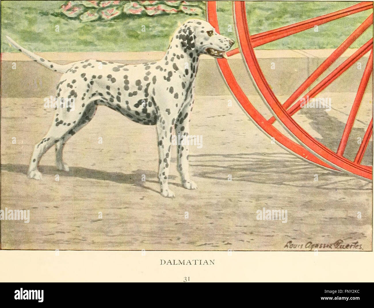 'The Book of Dogs' (1919) offers a comprehensive look at the history ...