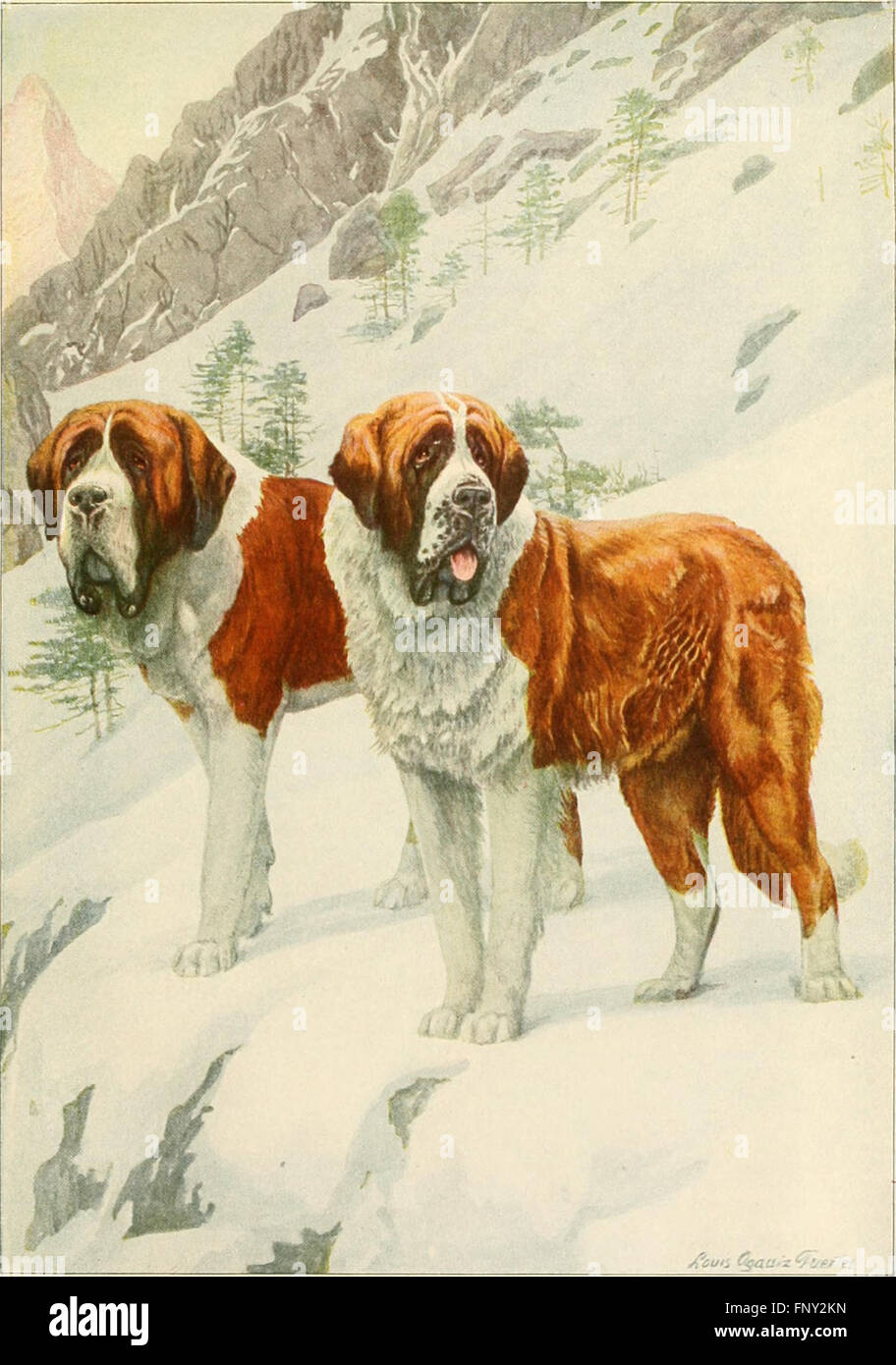 'The Book of Dogs' (1919) is an in-depth exploration of the ...