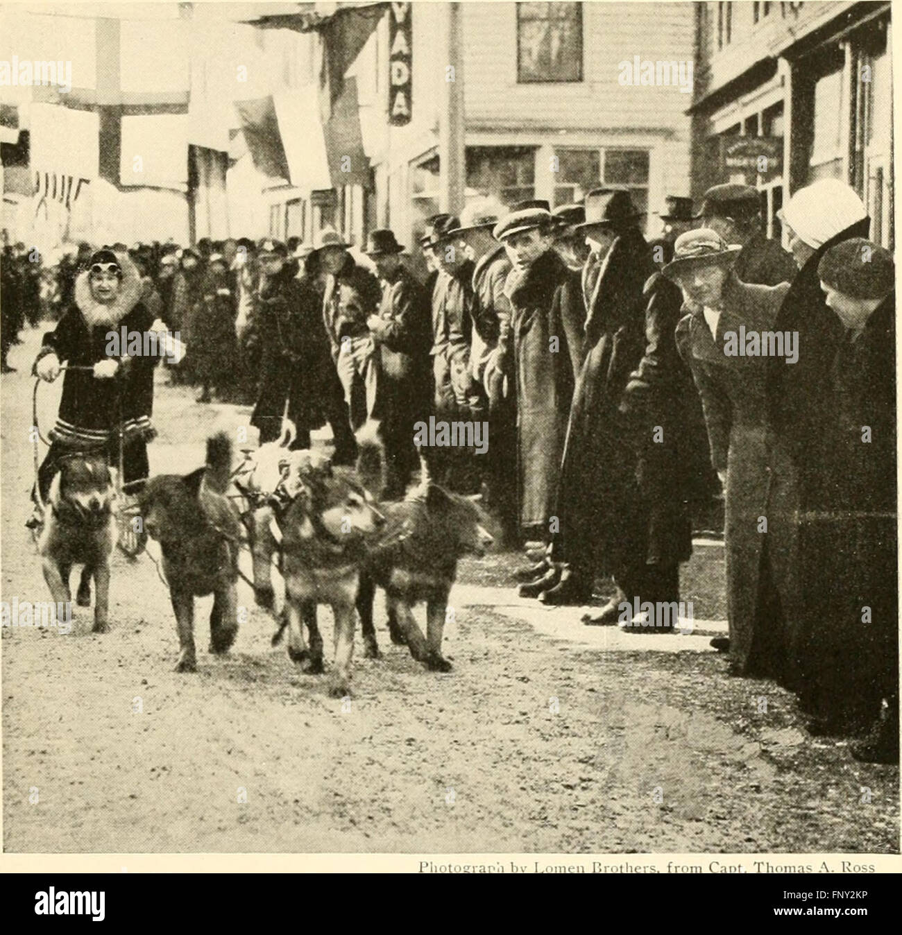 This 1919 book offers an in-depth exploration of dogs, their history ...