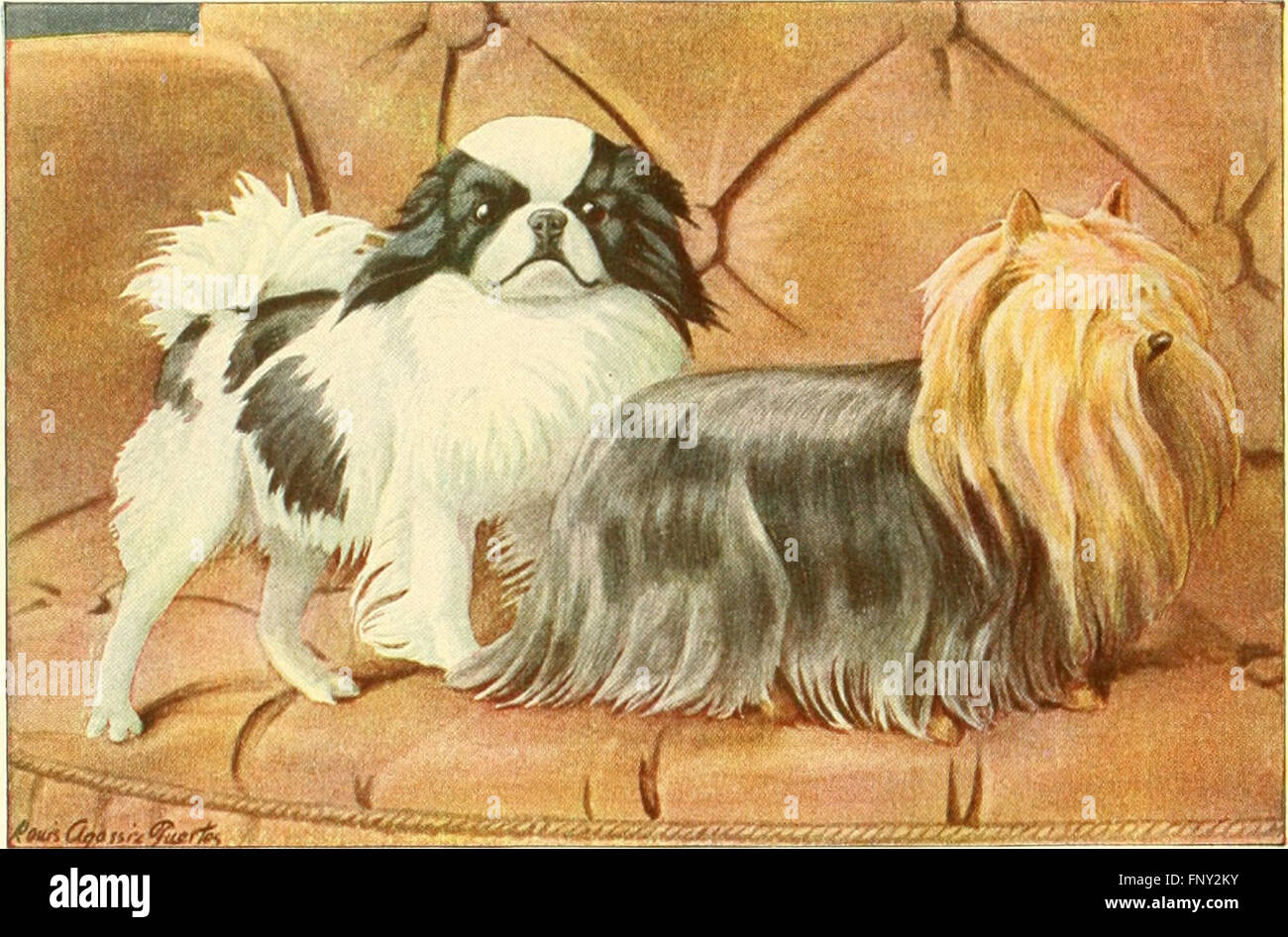 'The Book of Dogs' (1919) provides an intimate exploration of dogs ...