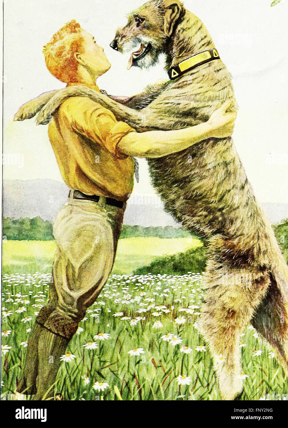 This 1919 book offers a detailed study of dogs, exploring their ...