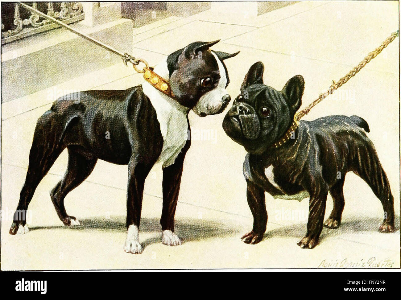 'The Book of Dogs' (1919) provides an intimate look at the history ...