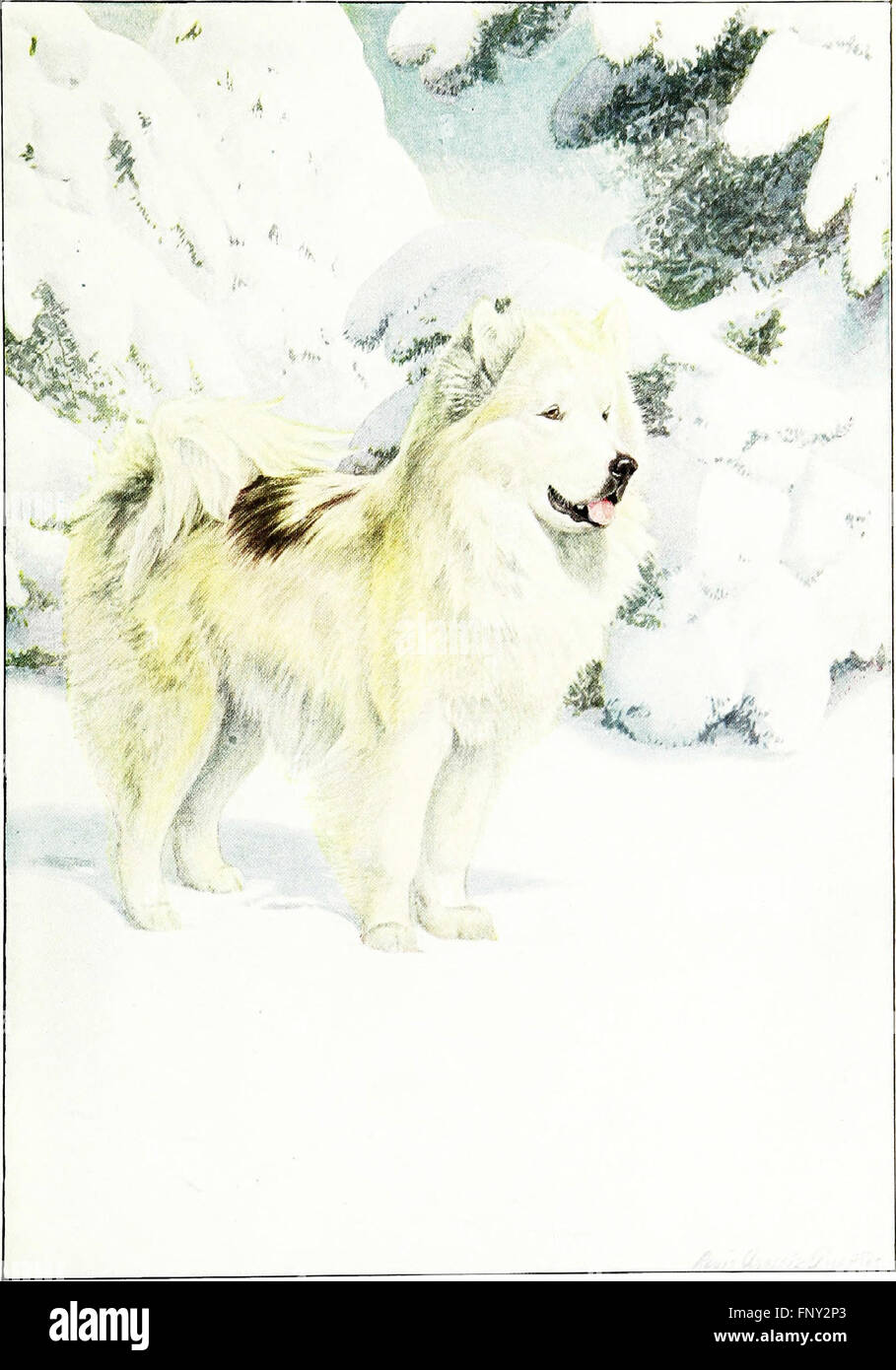 This 1919 work offers an in-depth exploration of dogs, covering their ...