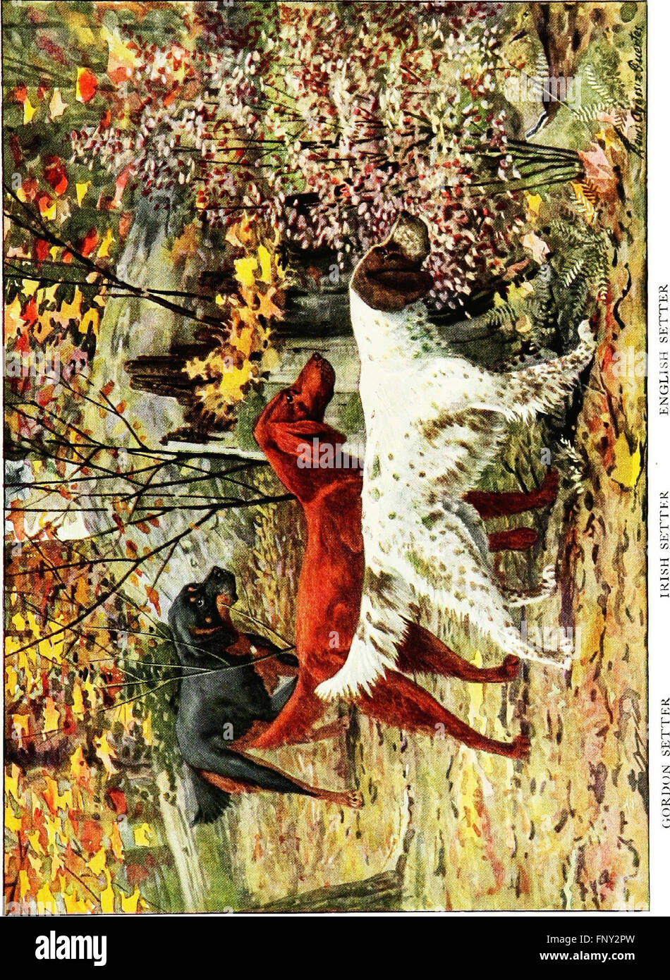 This 1919 work provides an intimate exploration of dogs, focusing on ...