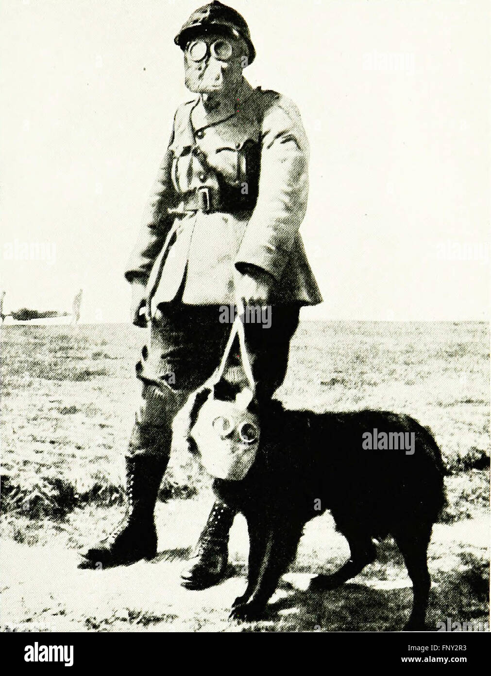 This 1919 book offers an intimate study of dogs, exploring their ...