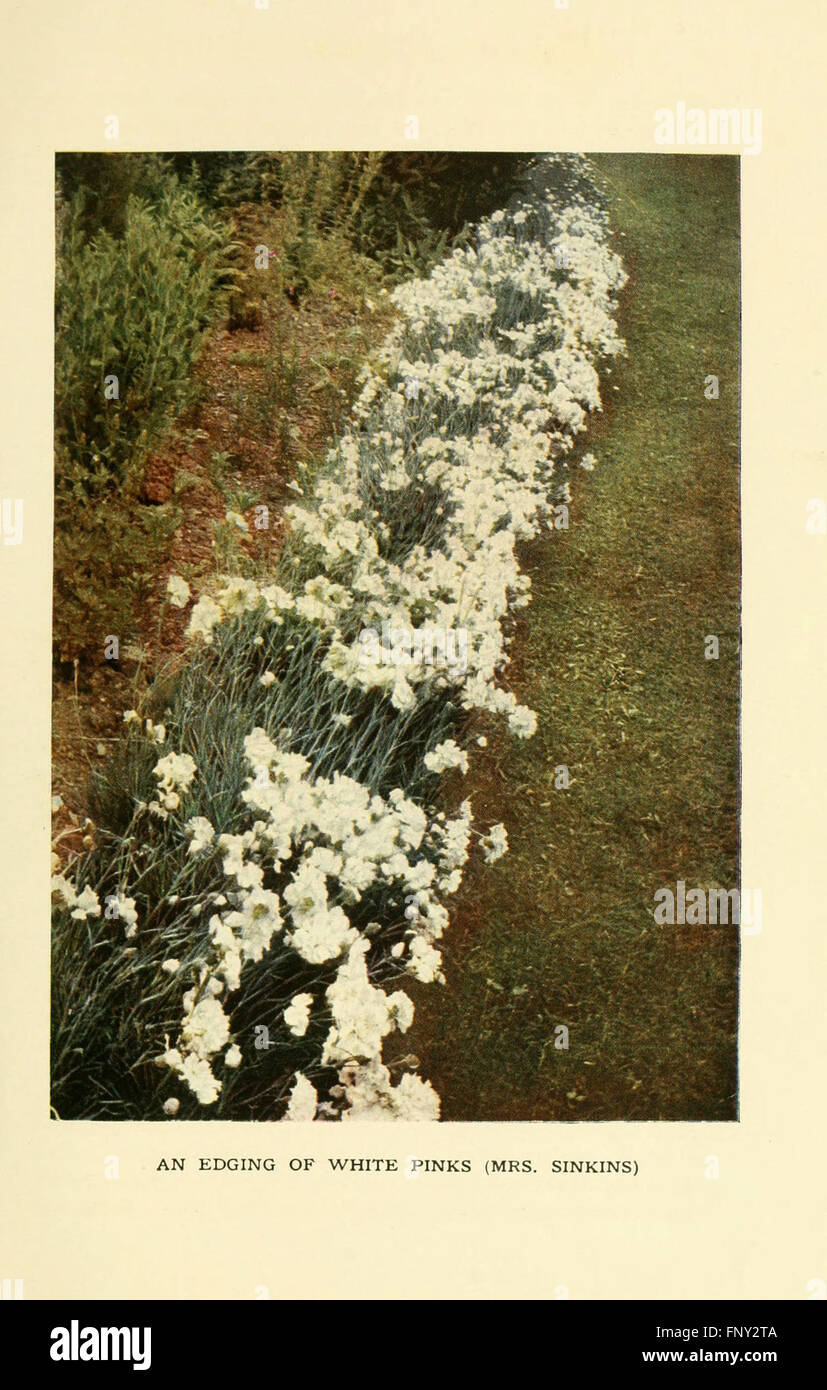 'The Book of Hardy Flowers' provides a visual reference and detailed ...