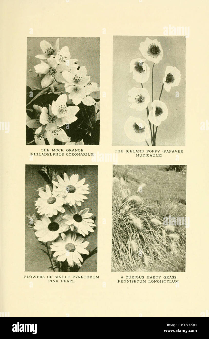 This guide provides information on hardy flower species, including ...