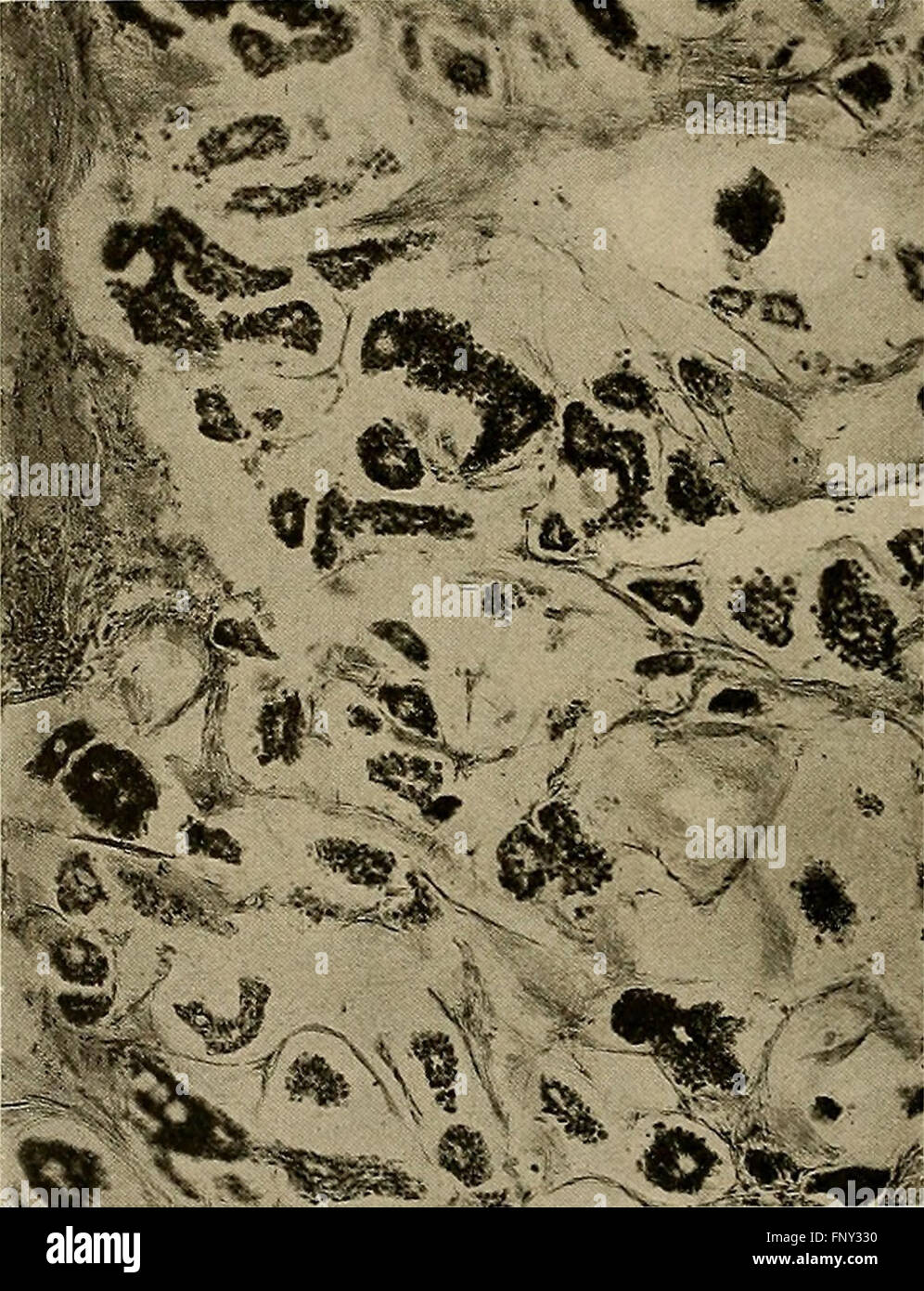 This 1880 historical work provides a detailed examination of the seven ...