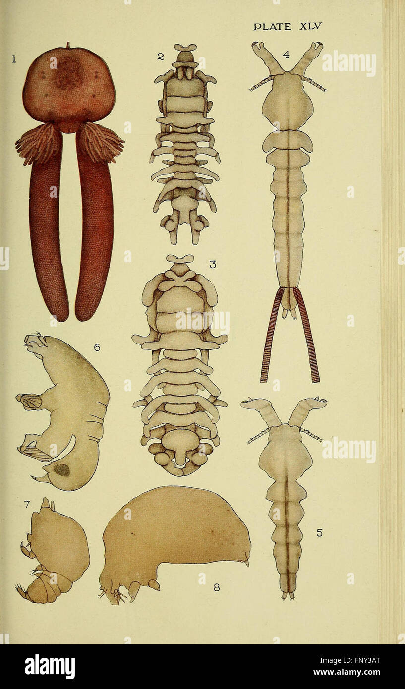 An illustration and study of parasitic Copepoda found in British waters ...