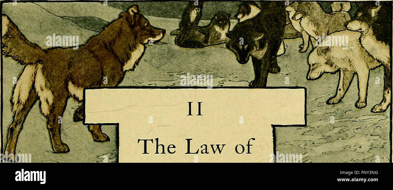 Jack London's 1903 novel depicts the story of Buck, a domesticated dog ...