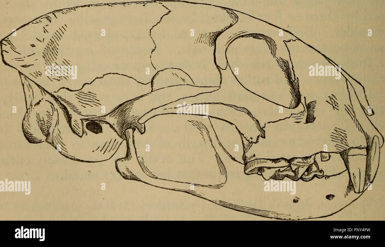 This 1881 work provides an introduction to the anatomy and biology of ...