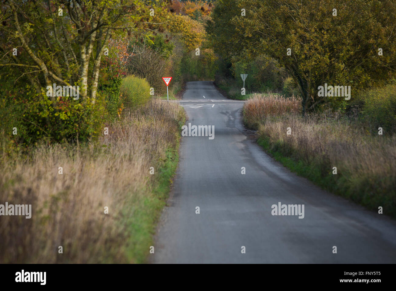 A road junction in the countryside with red and white give way signs ...