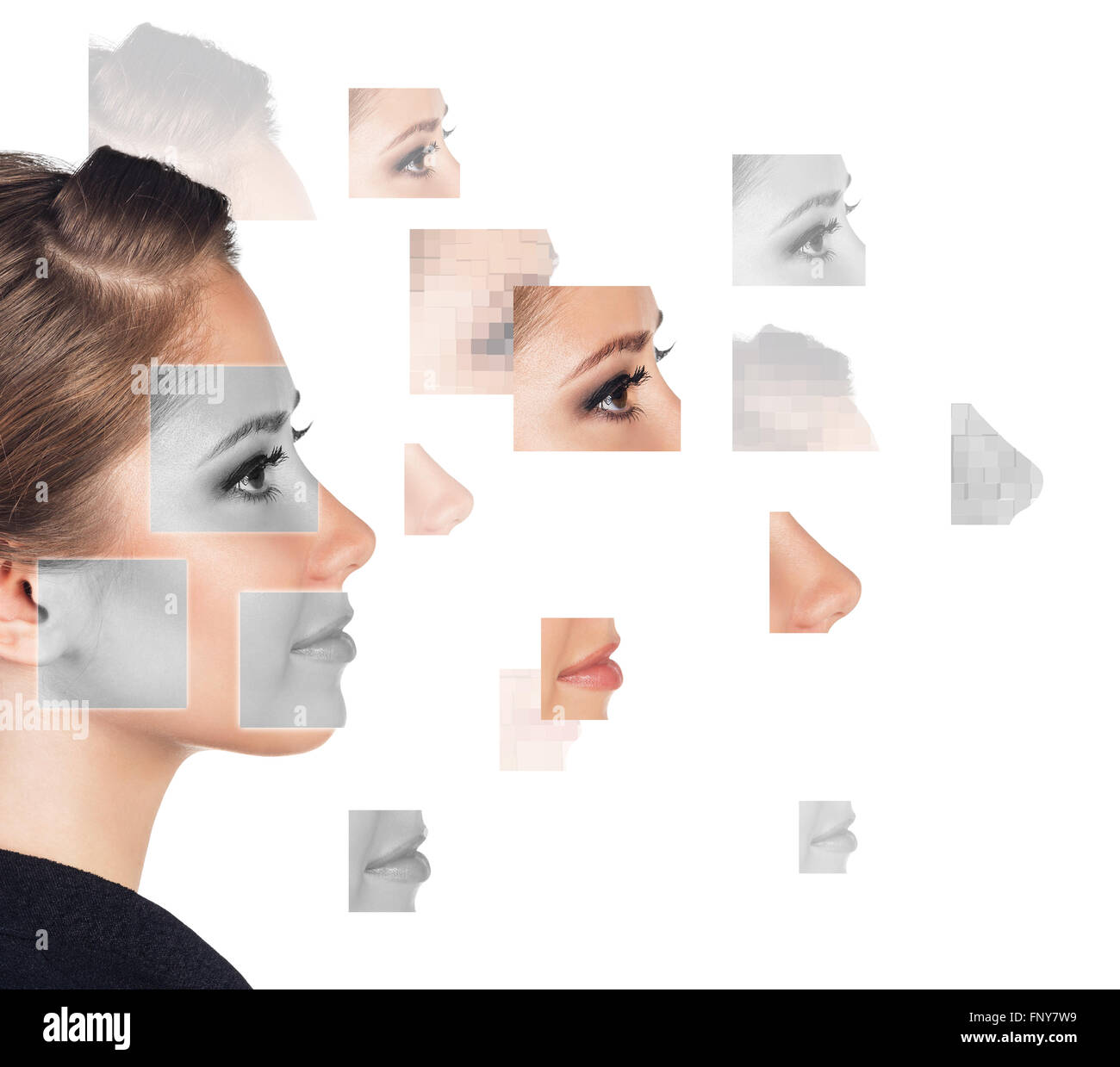 Perfect female face made from faces parts .Plastic surgery concept ...