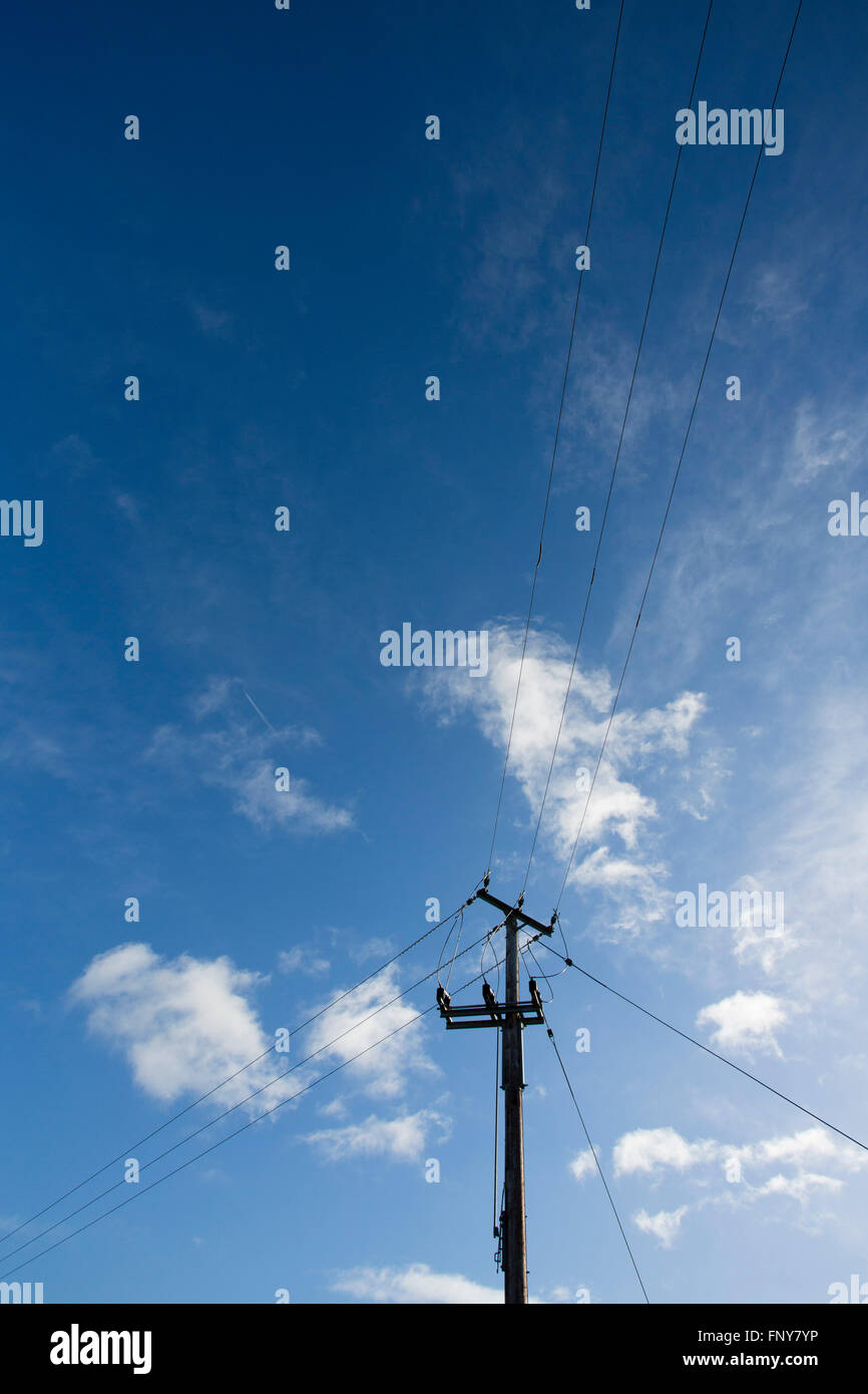 A telegraph pole carrying communication or power lines Stock Photo - Alamy
