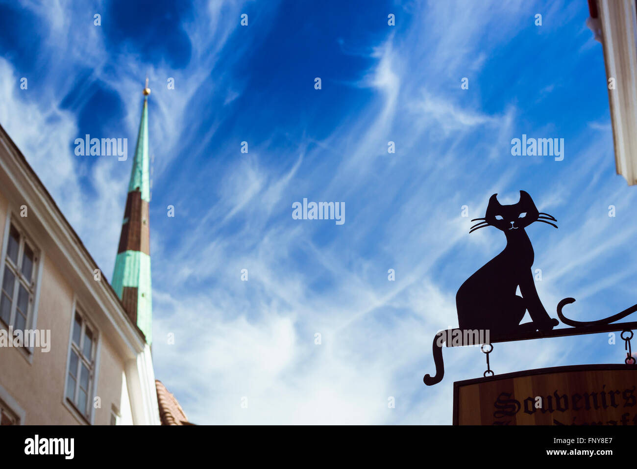 TALLINN, ESTONIA - YUNI 12, 2015: Metal profile of a cat against the ...
