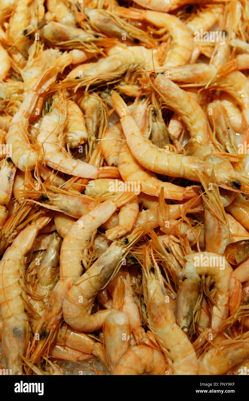 Fresh prawns hi-res stock photography and images - Alamy
