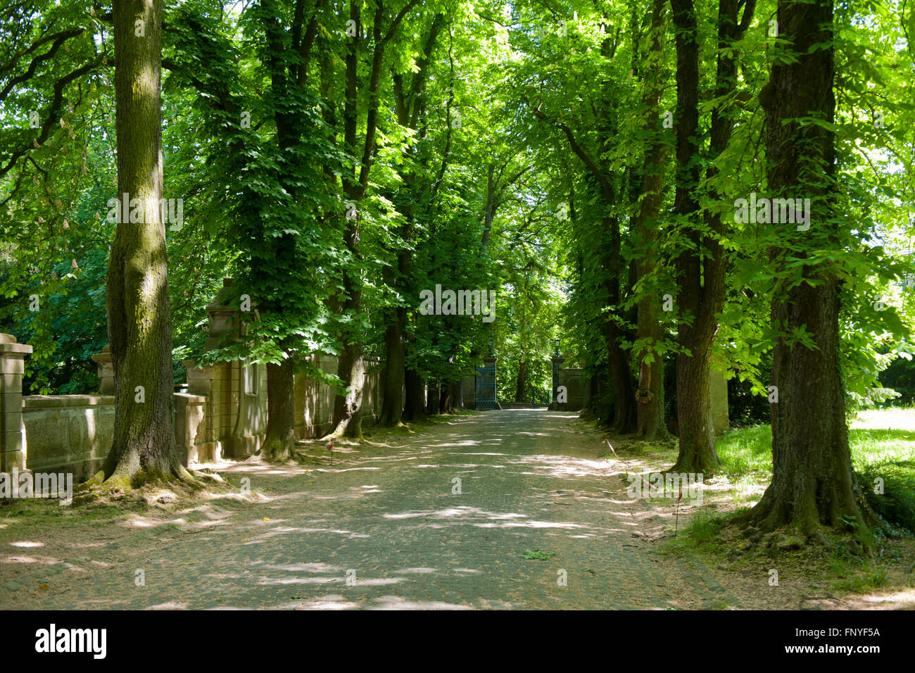 Bornheim hi-res stock photography and images - Alamy