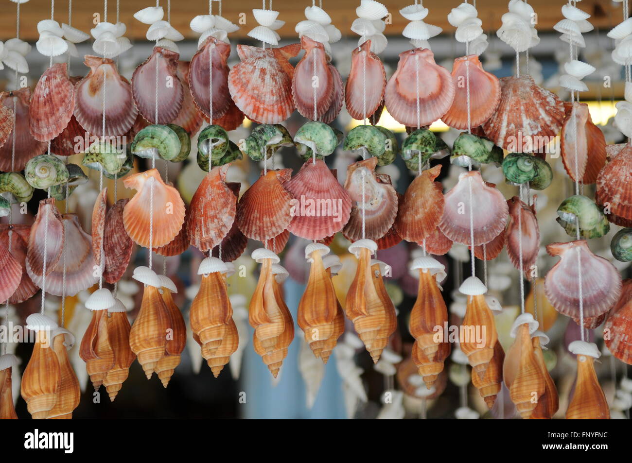 Sea shells strung as wind chimes at the local market, Ban Phe, Rayong ...