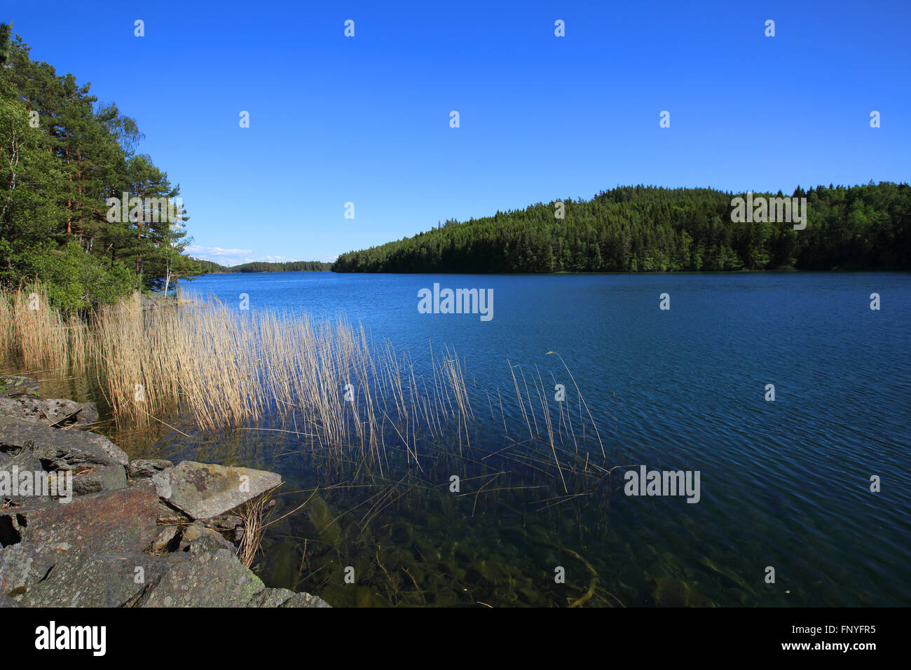 Beautiful view on lake Vattern with beautiful forest shores in Sweden ...