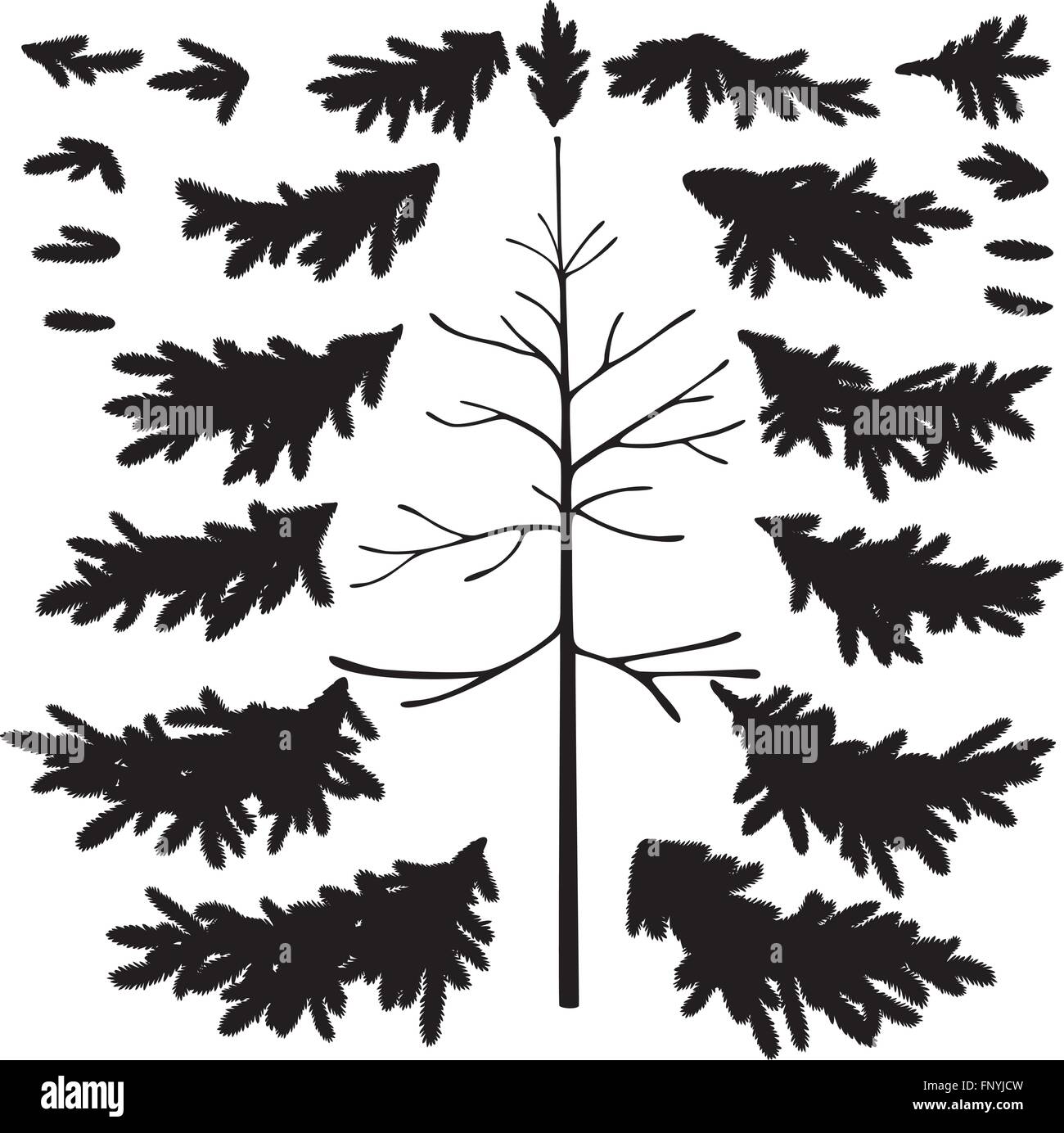 Pine Tree Branch Silhouette