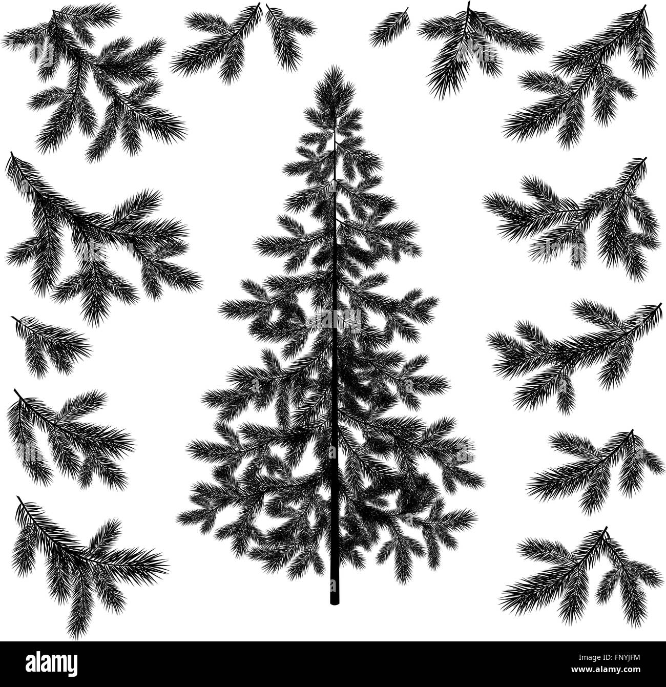 Pine tree trunk branches Stock Vector Images - Alamy