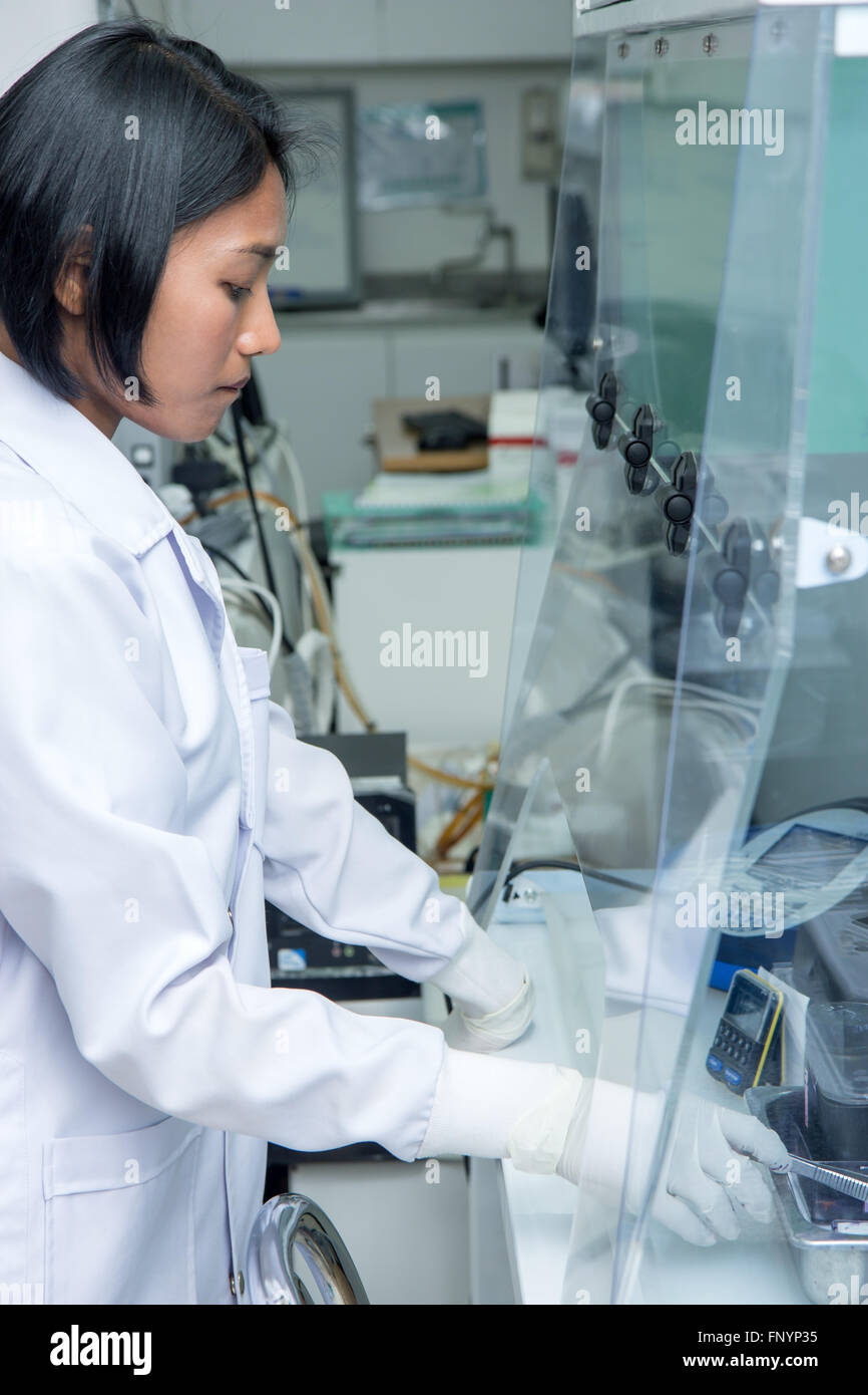 technician works under safety hood of plastic in hospital laboratory ...