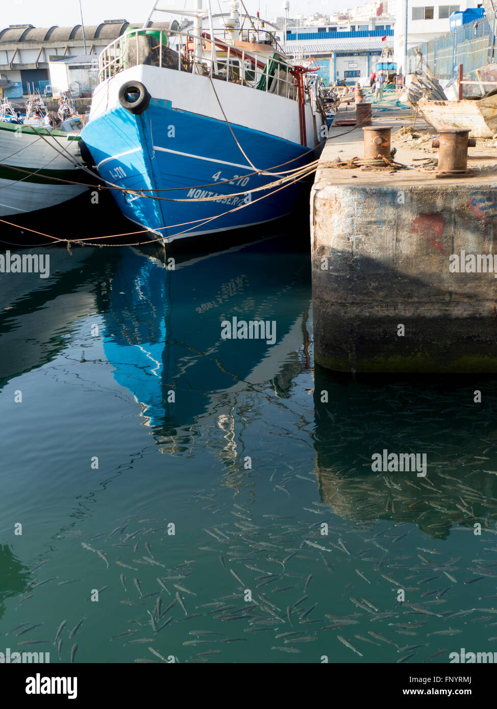 Morocco, Tangier, port fishing boats Stock Photo - Alamy