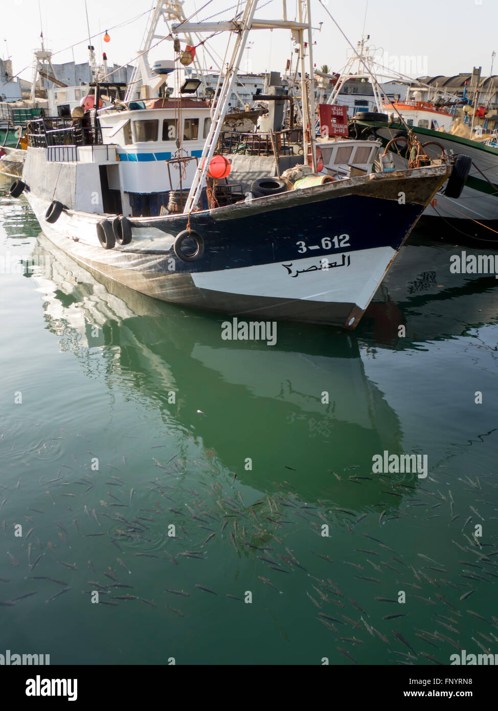 Morocco, Tangier, port fishing boats Stock Photo - Alamy