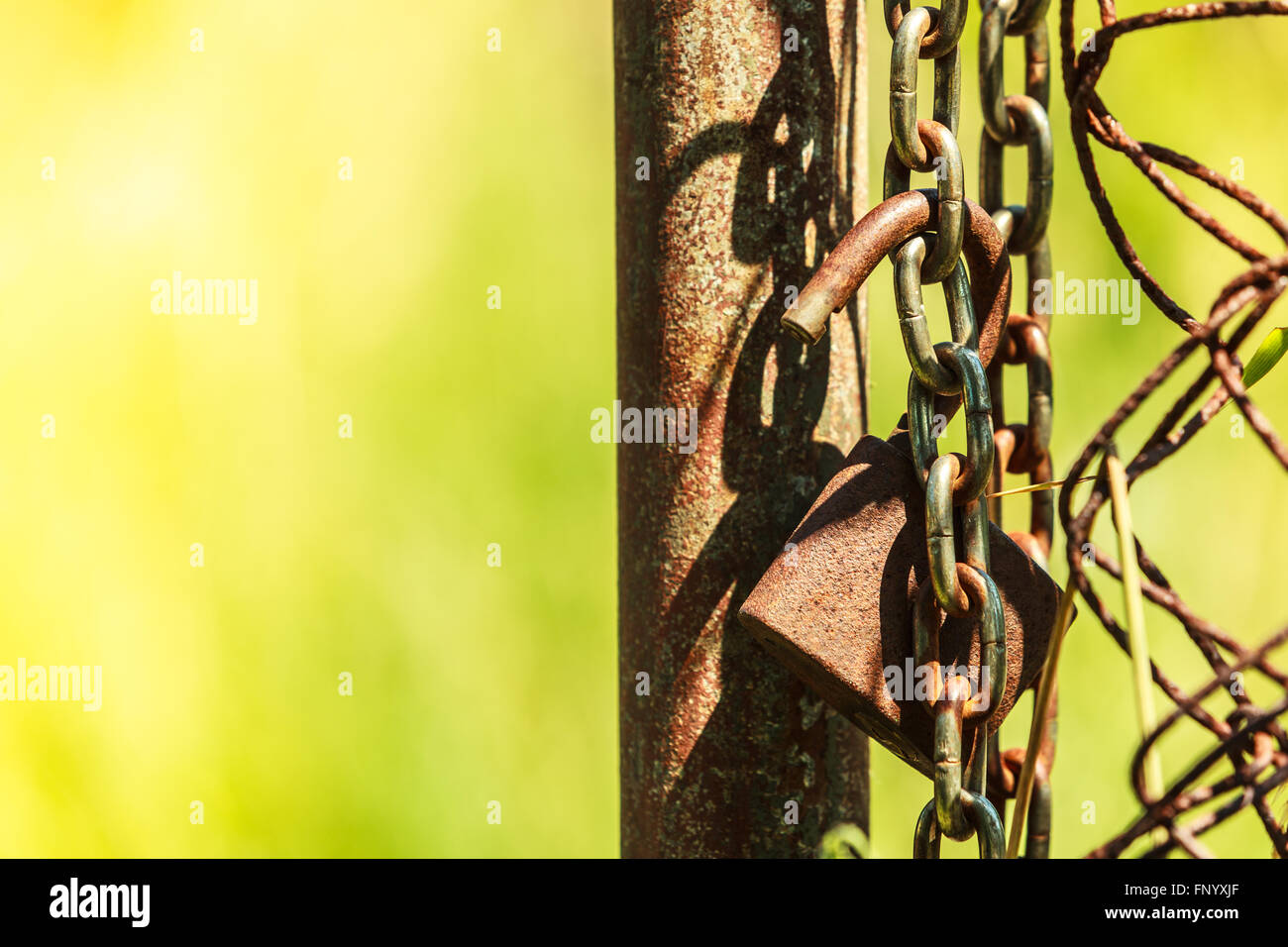 Rusted chain and open padlock an old farm gate Stock Photo - Alamy