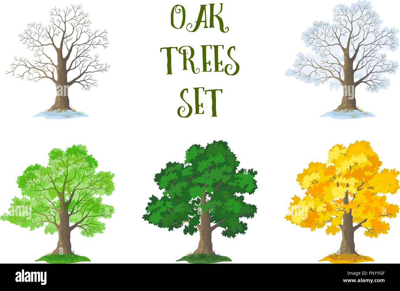 Oak bark and snow Stock Vector Images - Alamy