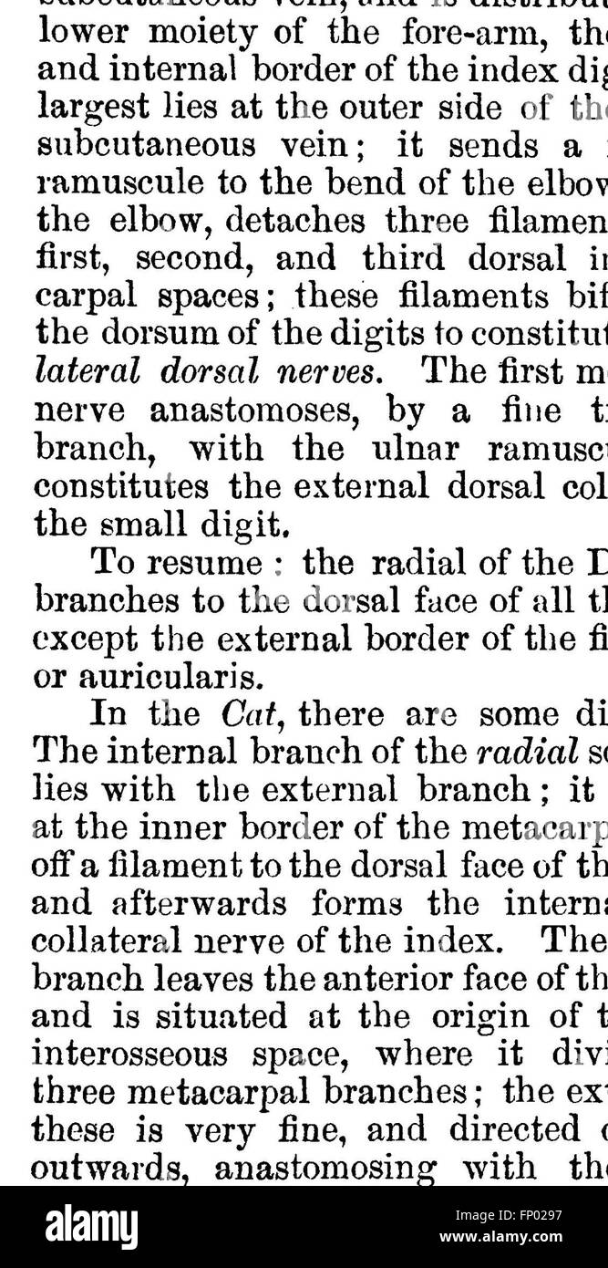 Skeletal structures of various animals Black and White Stock Photos ...