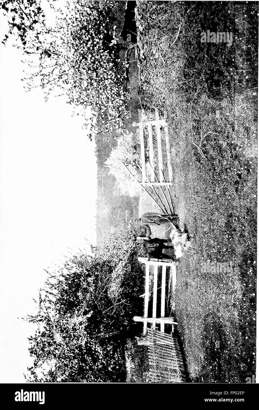 Rural life improvement Black and White Stock Photos & Images - Alamy