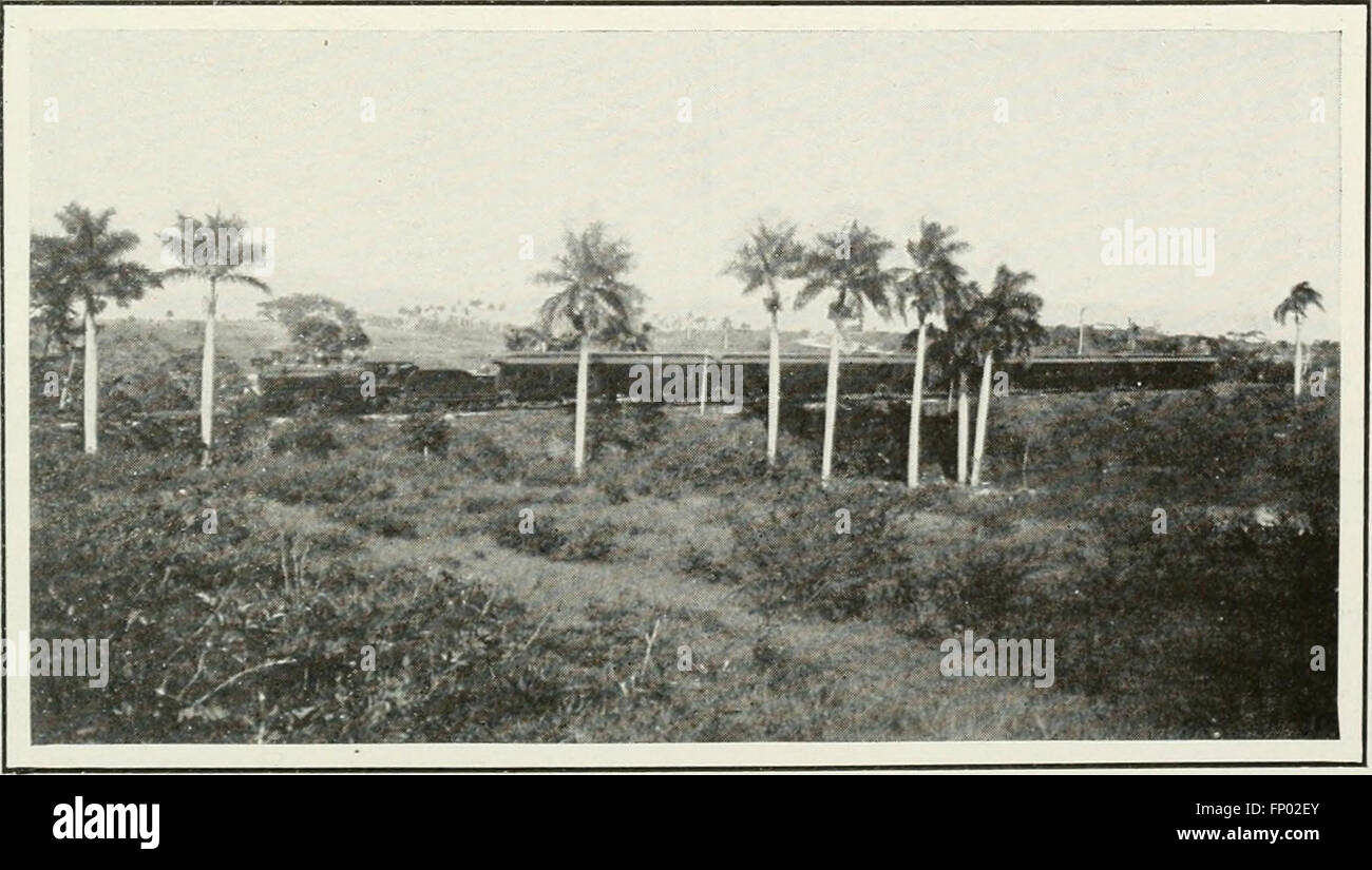 'The Cuba Review' (1914) provides an analysis of the political, social ...