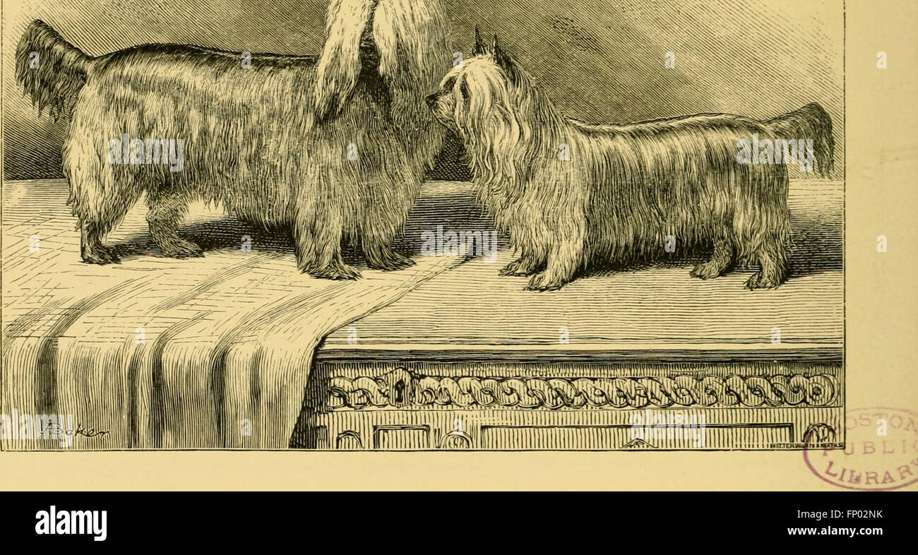 This 1878 work discusses various dog breeds from the British Islands ...