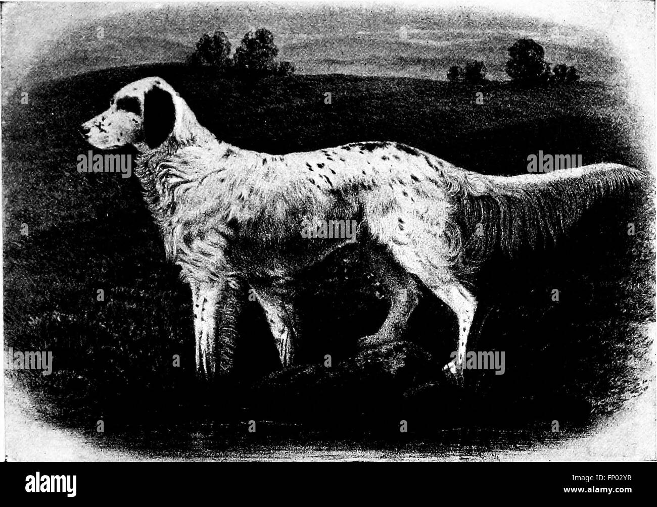 This 1906 book presents the history of the dog, offering guidance on ...