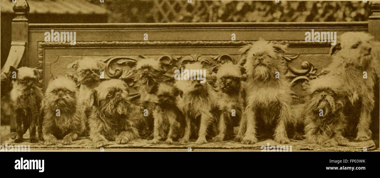 This 1906 book offers a thorough history of dogs, along with practical ...