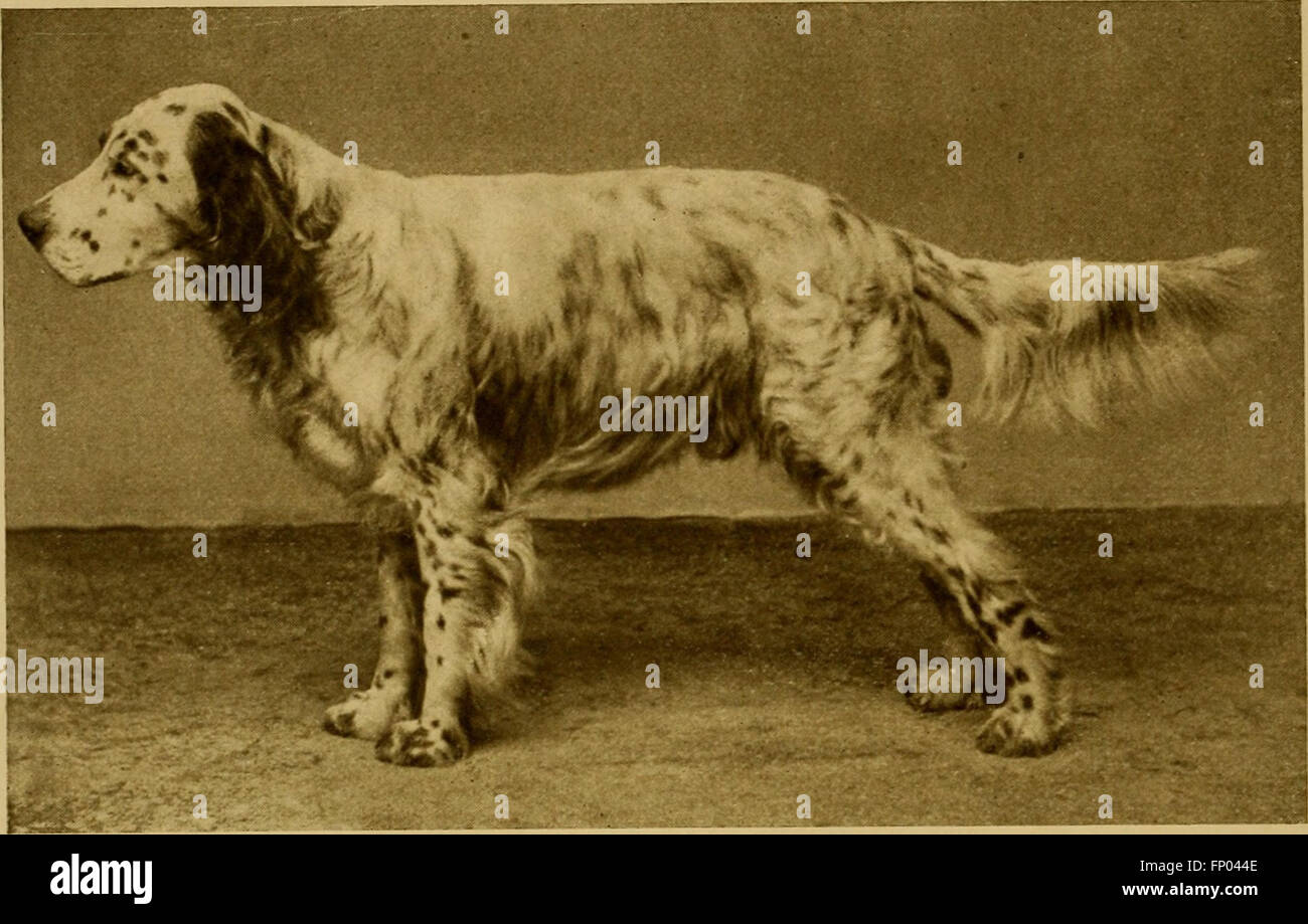 *The Dog Book* (1906) provides a comprehensive history of dogs ...