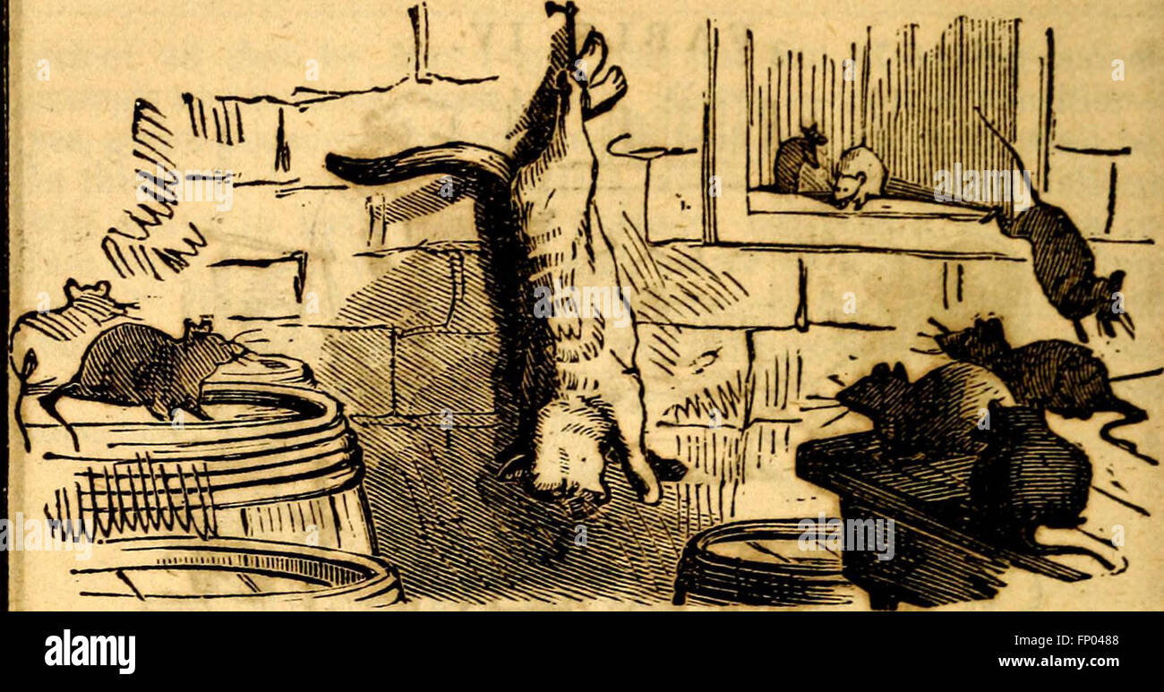 This 1908 spelling book aims to improve upon its predecessor, The ...