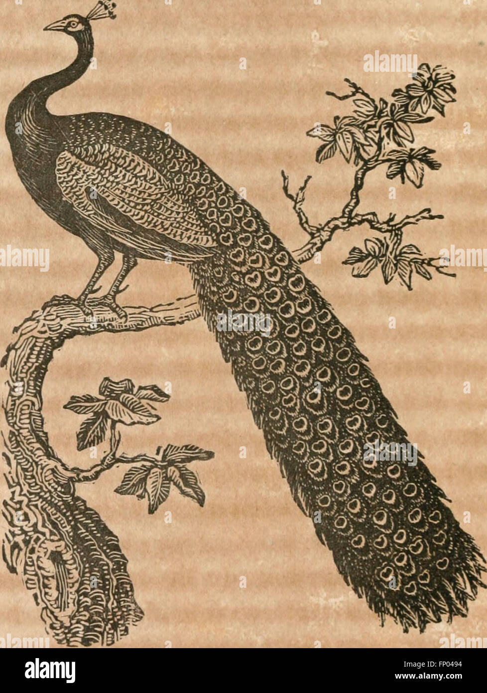 The Evergreen 1837 Is A Literary Work Focusing On Poetry Art And 3206