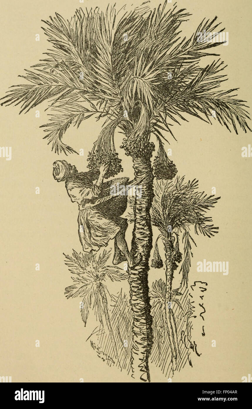 This 1902 work introduces modern inventions, discoveries, and ...